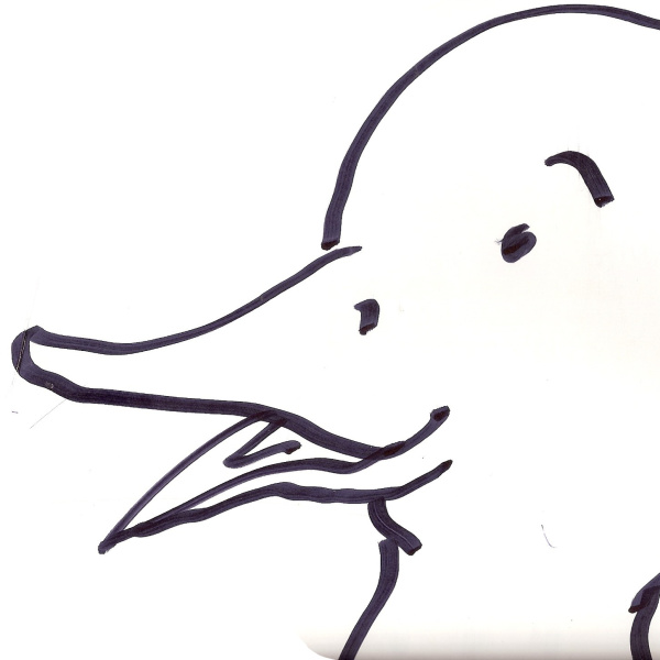 Le Super-Canard - Cyber-Canard